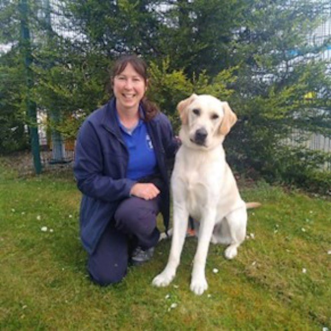 UNISON Fife are sponsoring three guide dogs - Unison